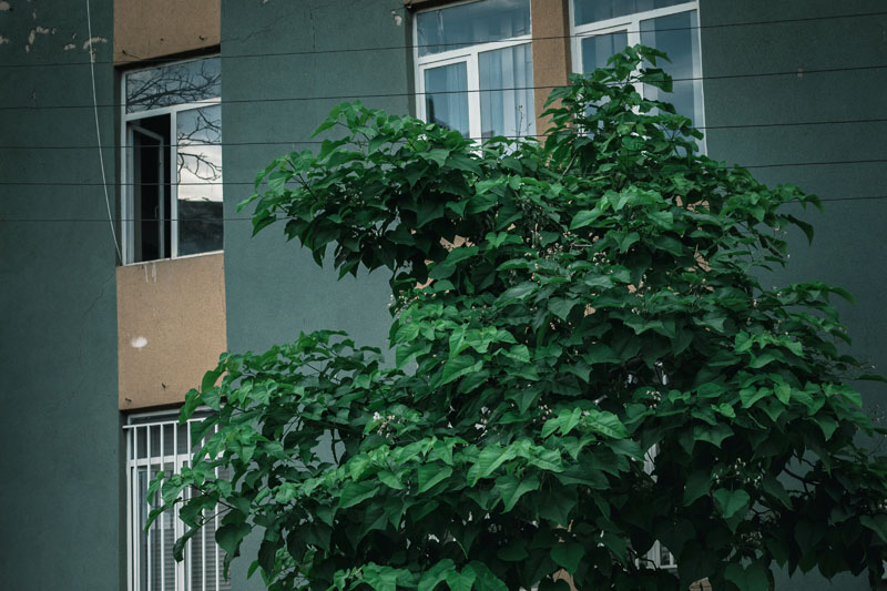 Images | StarCode Kh - Minimal Admin & Dashboard Template